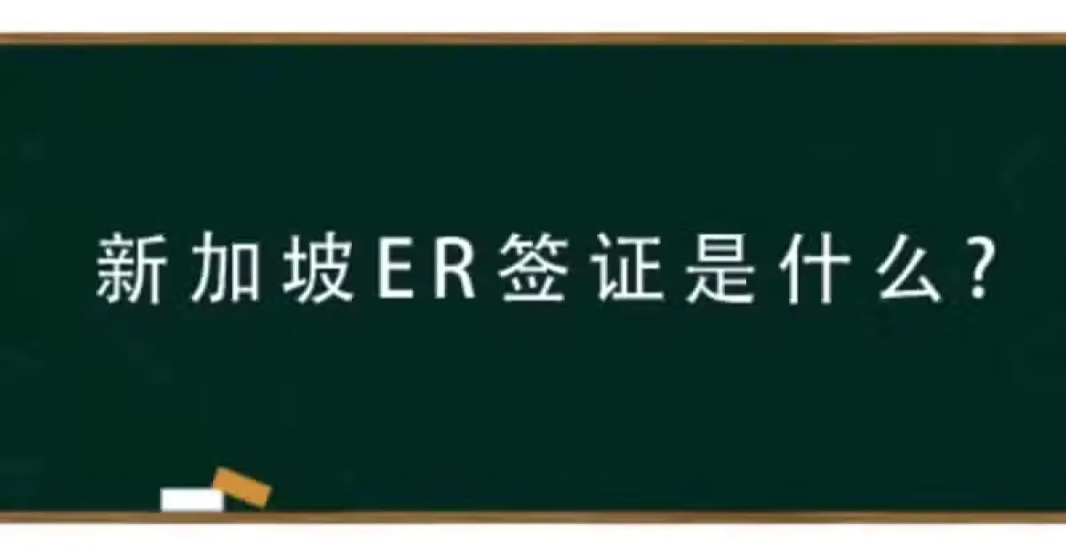 最值得的选择 新加坡身份解析 狮城新闻 新加坡新闻 3554