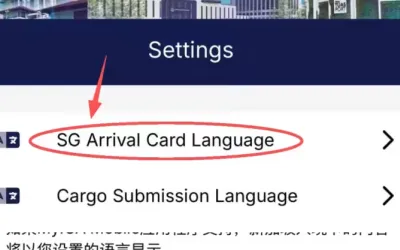 新加坡电子入境卡填写不用愁！最全SGAC中文填写指南，3分钟轻松搞定，一步到位 | 狮城新闻 | 新加坡新闻