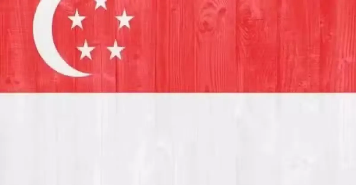 新加坡武装部队 | 狮城新闻 | 新加坡新闻