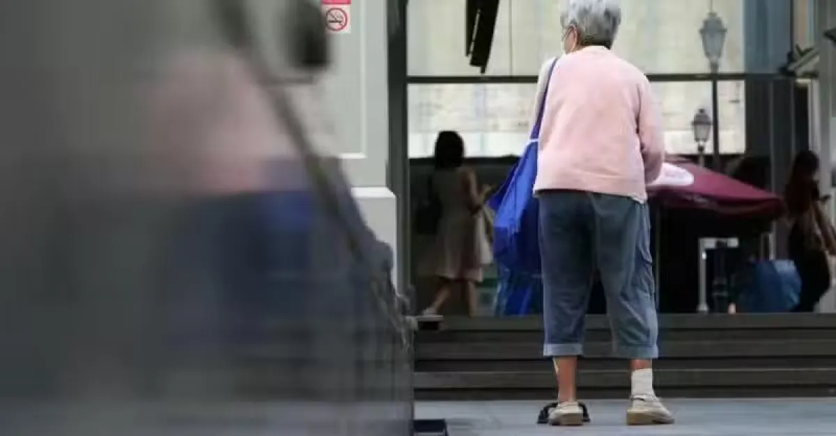 《2024年人口簡報》解讀：為達690萬人口目標，新加坡放開國們吸引新移民 | 獅城新聞 | 新加坡新聞