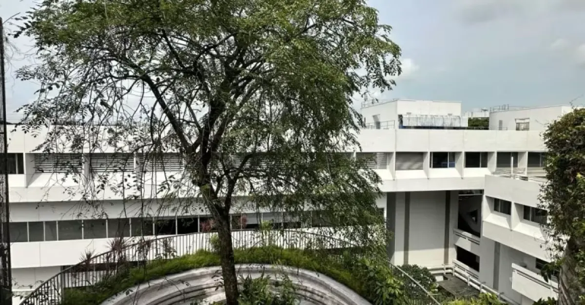 新加坡博士回國進高校當老師，到底要滿足哪些條件 | 獅城新聞 | 新加坡新聞